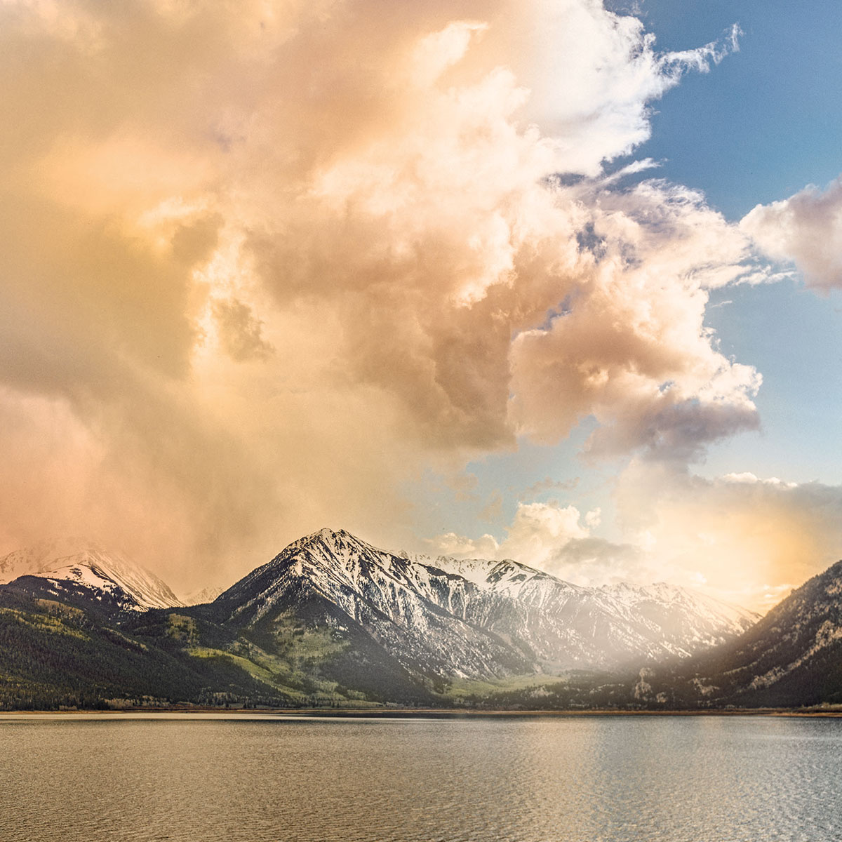 Our Work – Greenhouse Partners