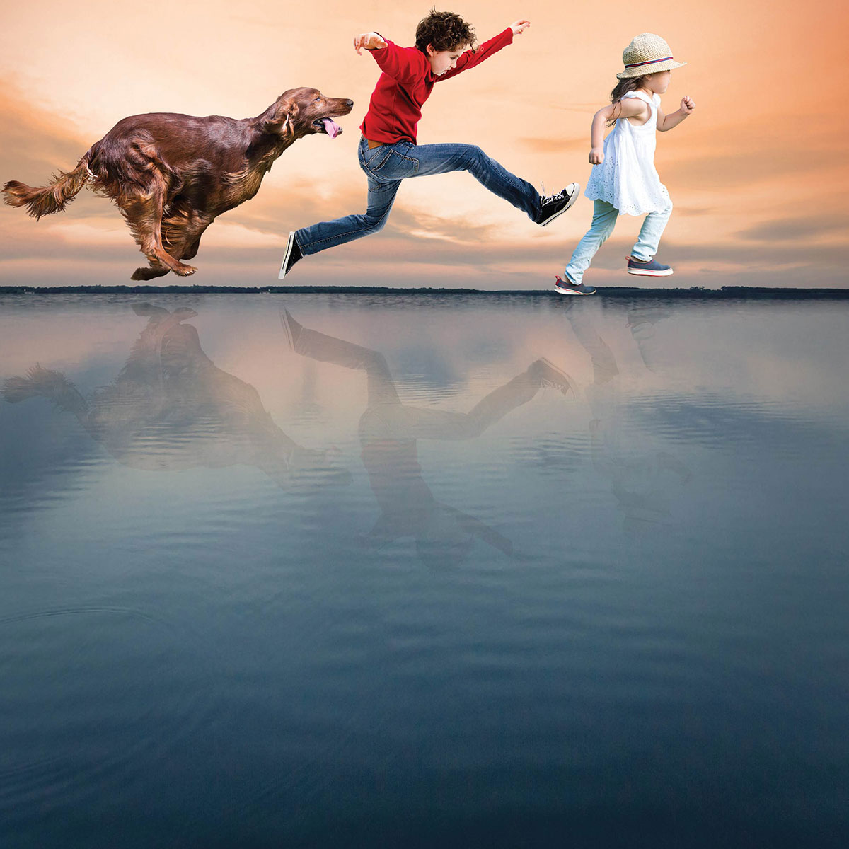 Our Work – Greenhouse Partners